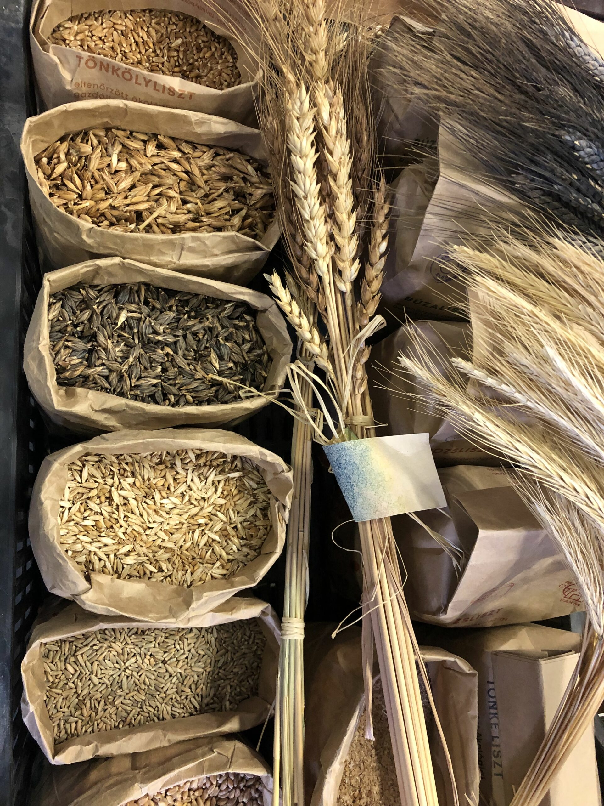 Agroecology in Action: Arable crops - trAEce